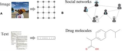 Frontiers | Graph Neural Networks and Their Current Applications in Bioinformatics